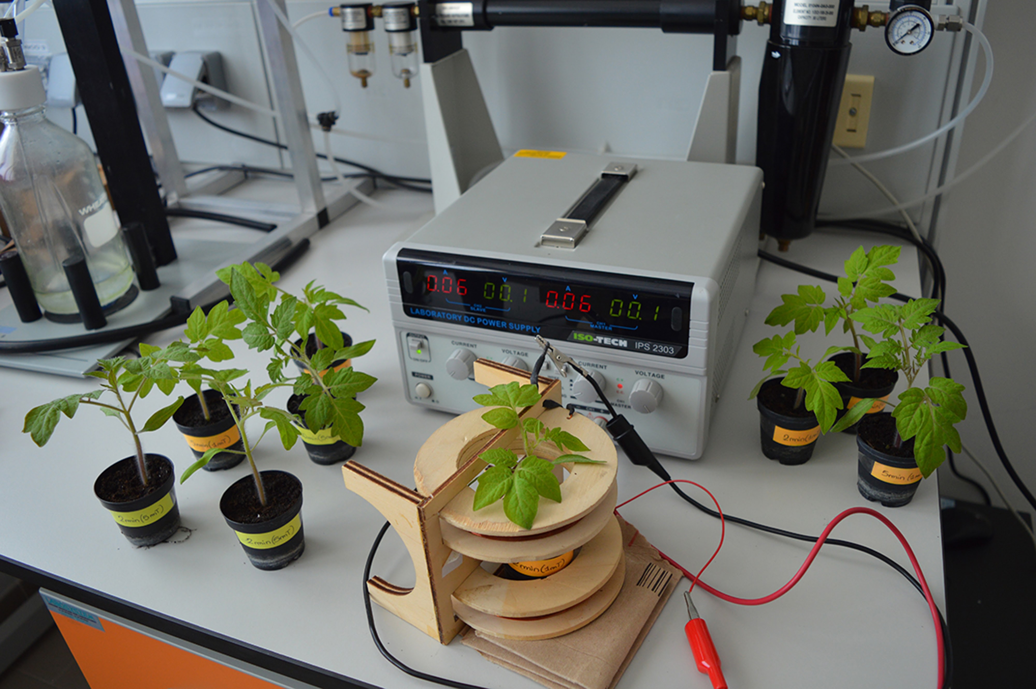 MAGNETOAGRI | Plant Pathology Laboratory